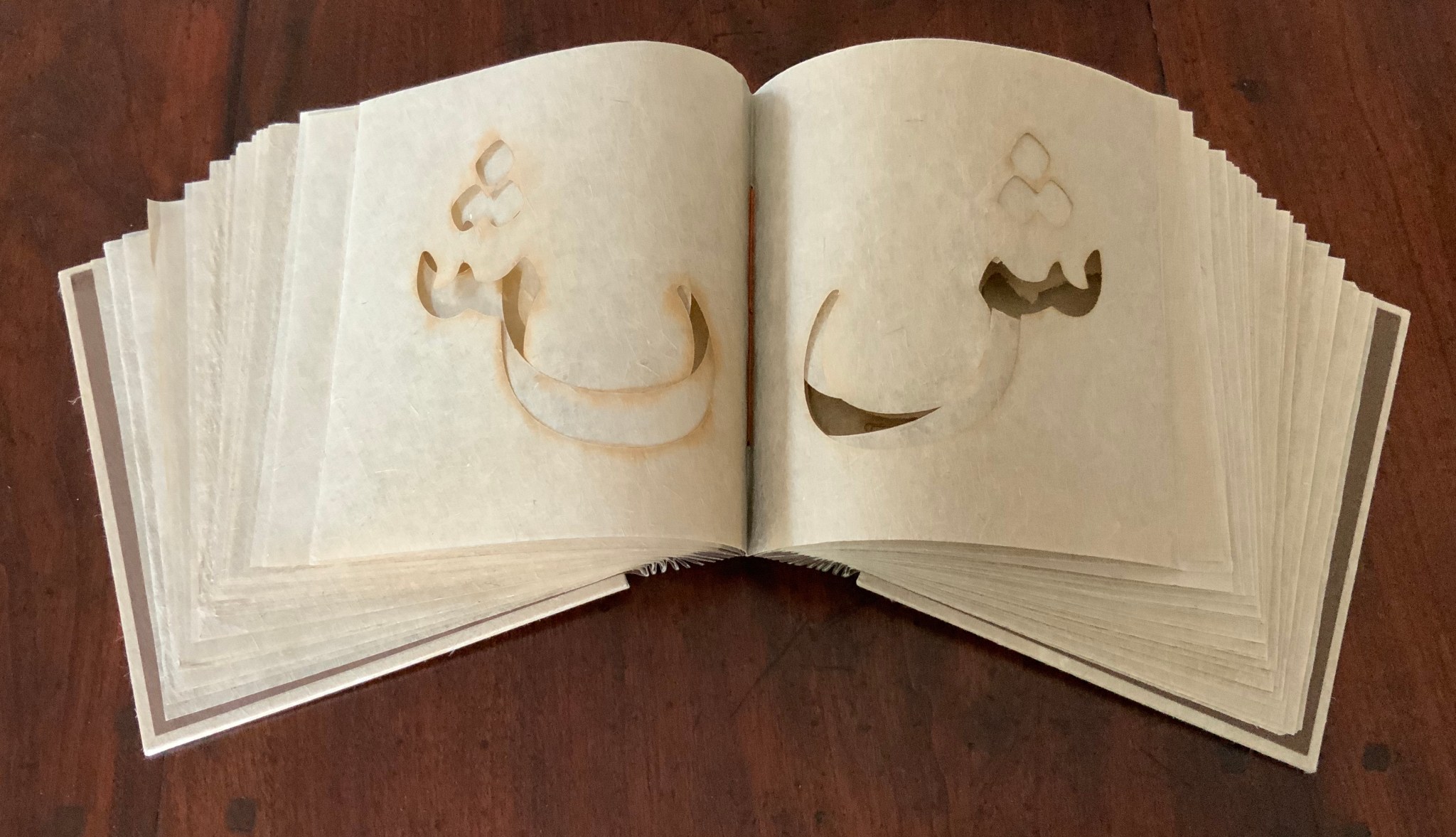 Books On Books Collection – Islam Aly – Books On Books
