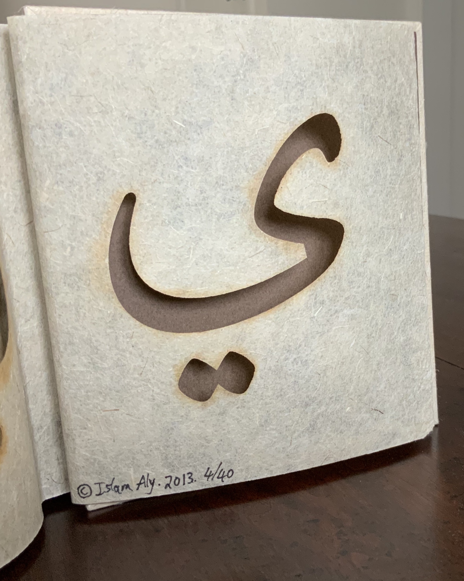 Books On Books Collection – Islam Aly – Books On Books