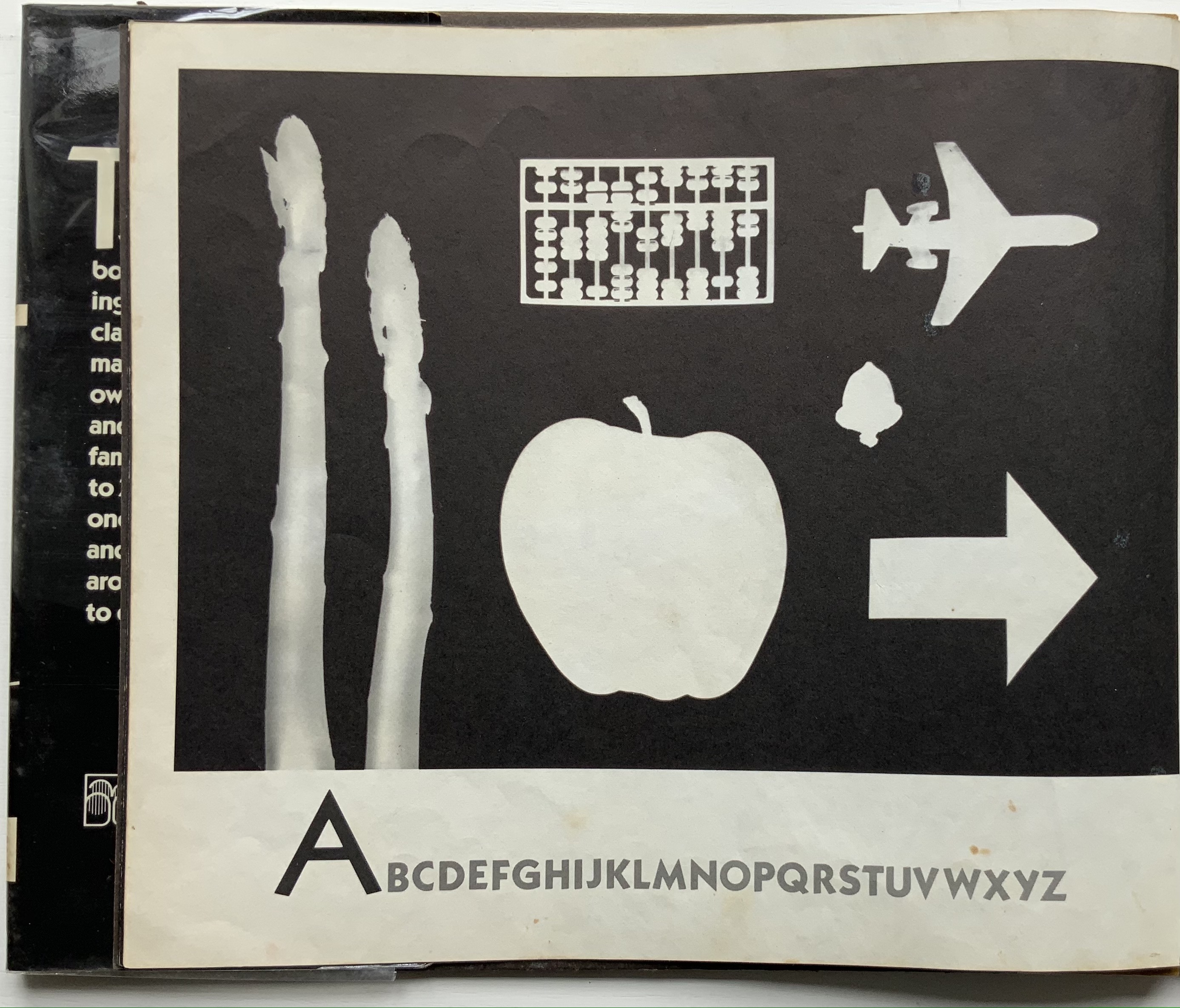 Books On Books Collection – Tana Hoban – Books On Books