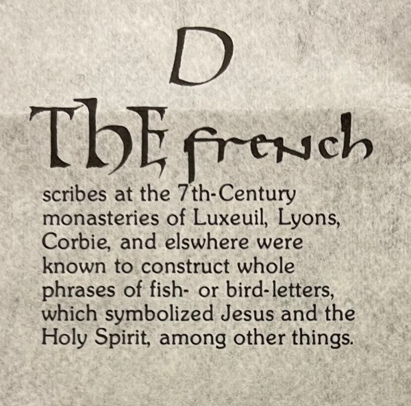 Books on Books Collection – Mark Van Stone – Books On Books