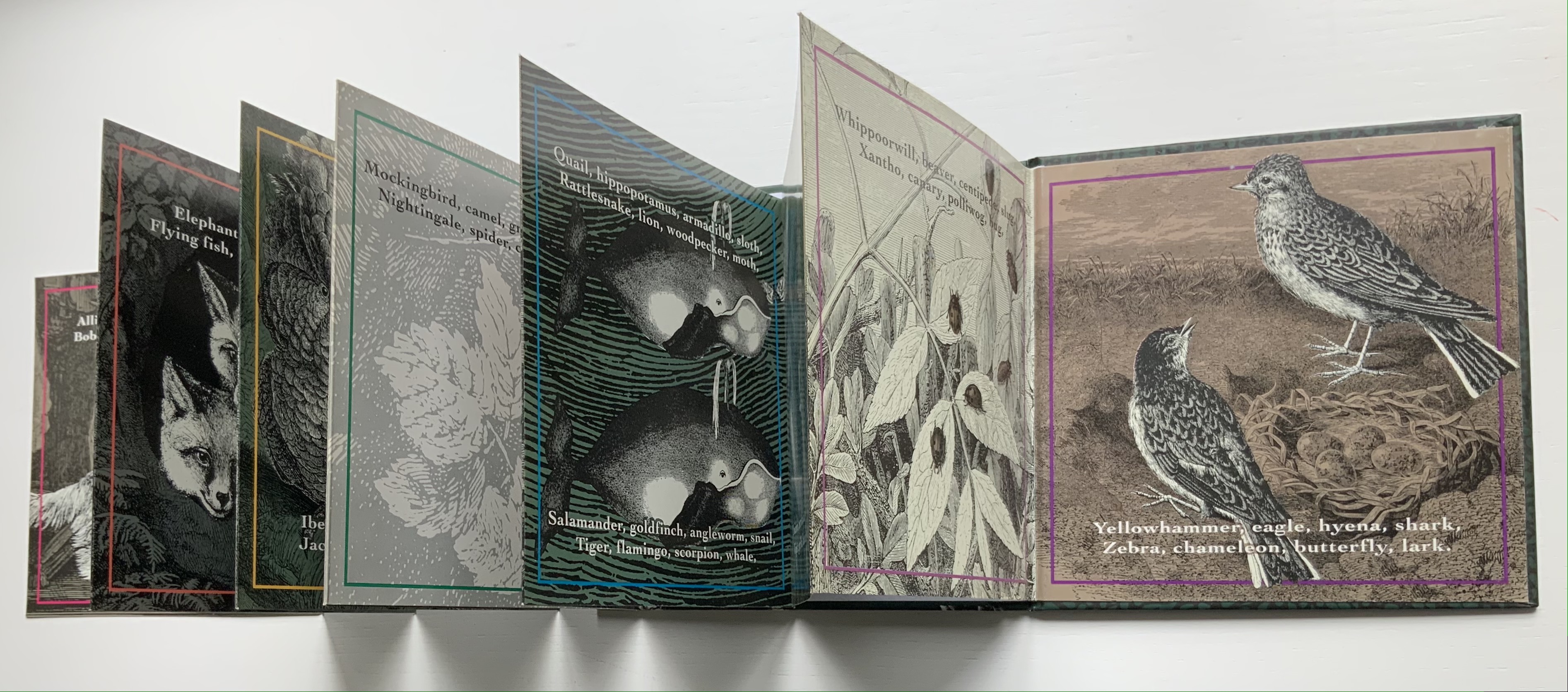 Alphabets Alive! – Animals – Books On Books