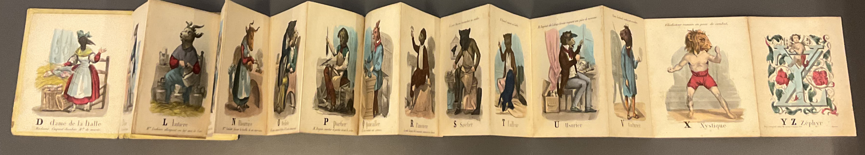 Alphabets Alive! – Animals – Books On Books