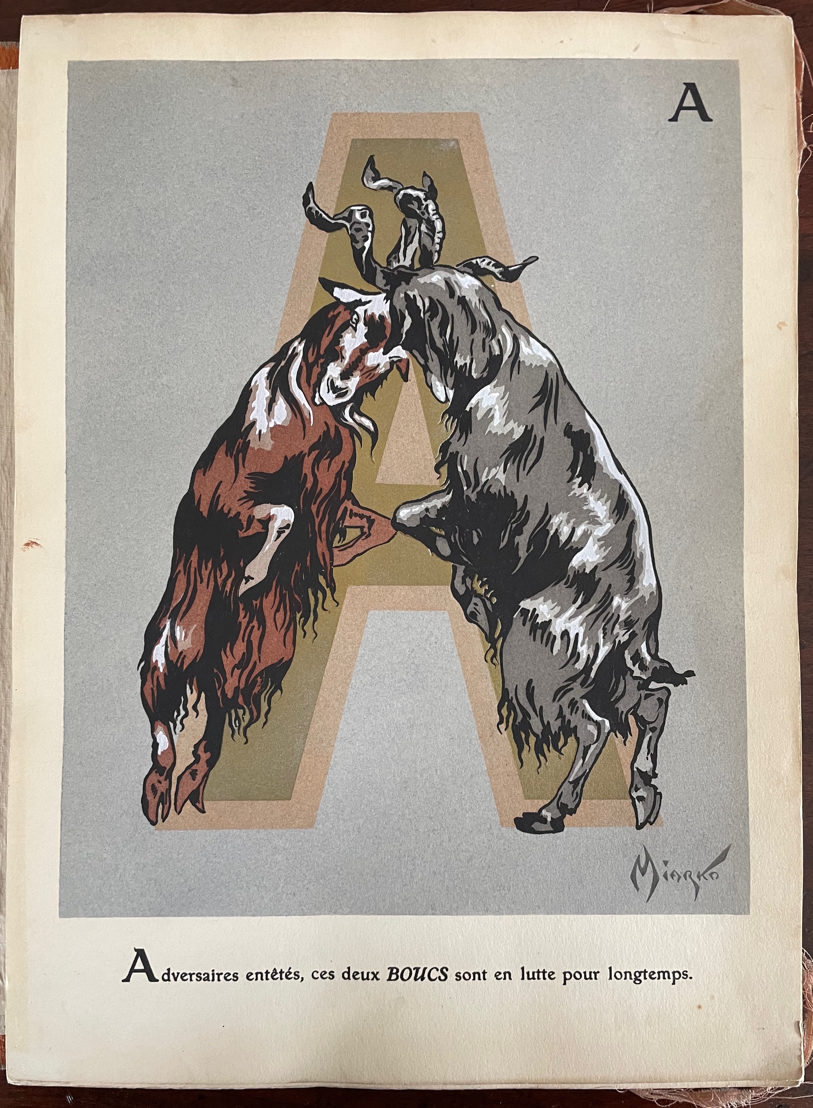 Books On Books Collection – Miarko (Edmond Bouchard) – Books On Books