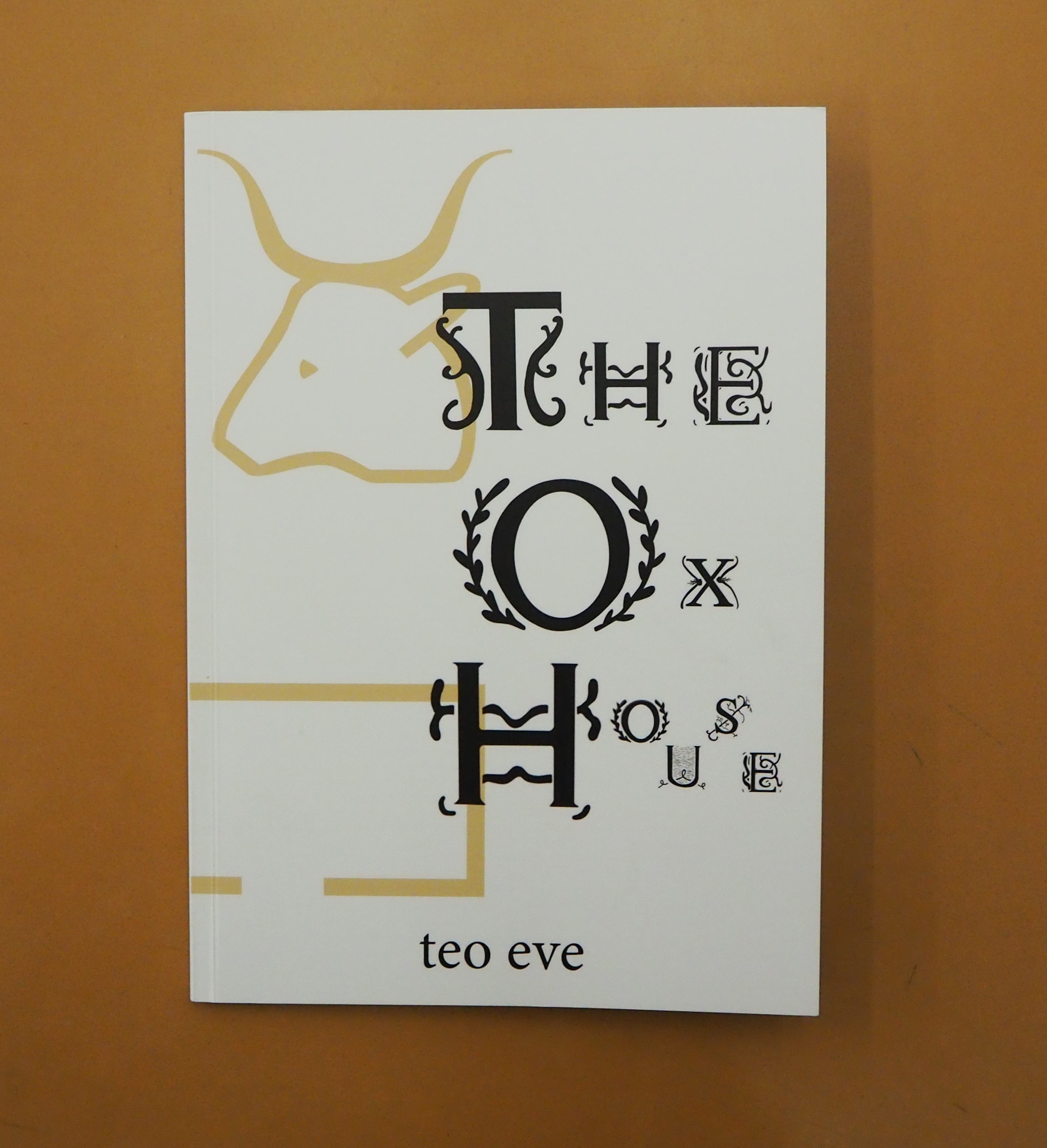 Books On Books Collection – Teo Eve – Books On Books